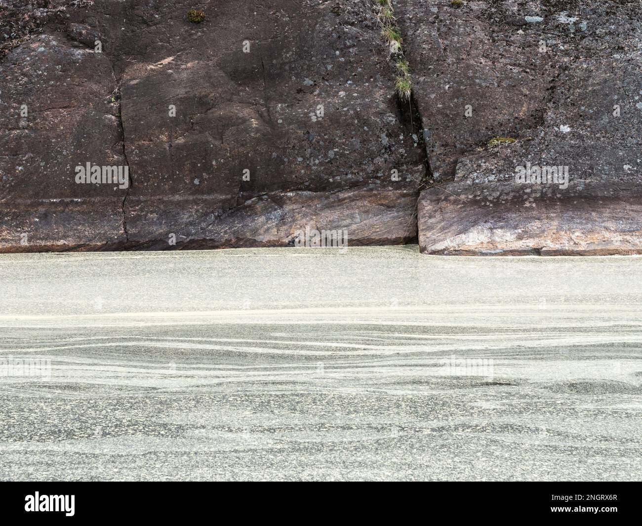 Pollen of pine trees floating on lake surface Stock Photo - Alamy