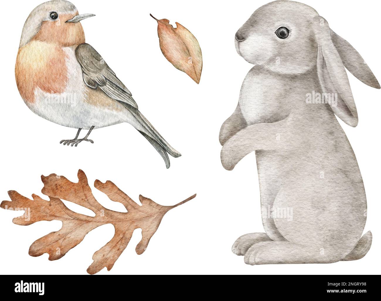 Watercolor woodland design element. Hand-drawing animals, leaves. Bird ...