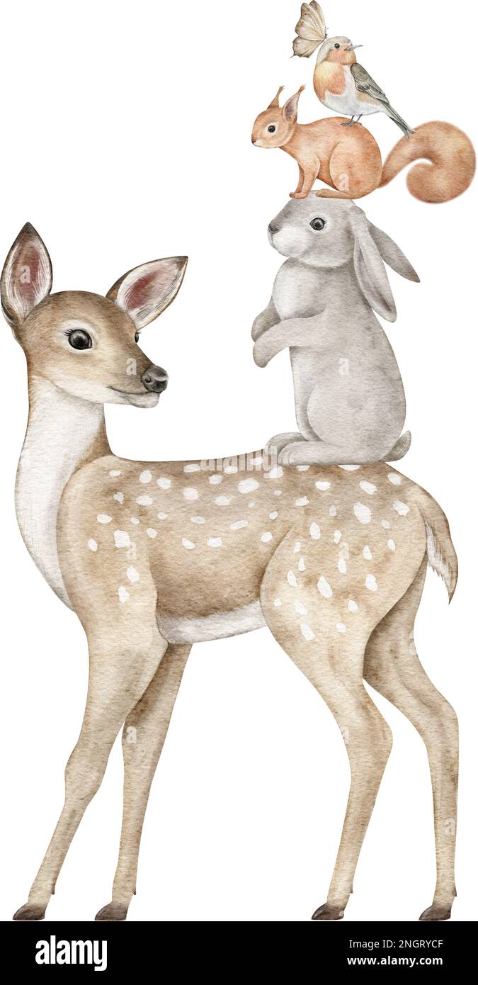 Watercolor woodland animals. Deer, rabbit, squirrel, bird and butterfly ...