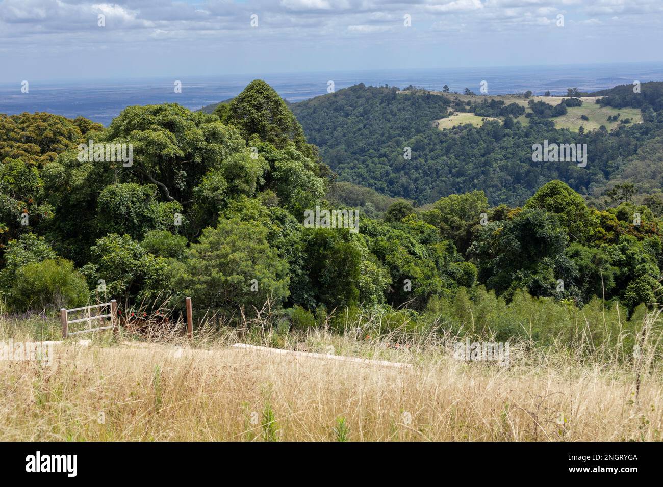 Bunya mountains queensland hi-res stock photography and images - Alamy