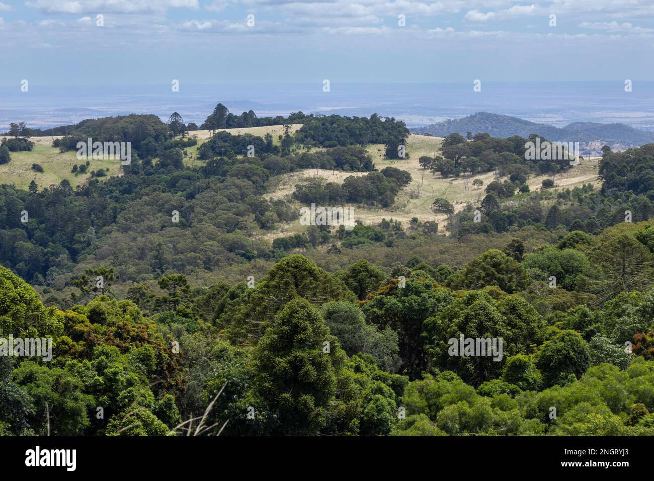 Bunya mountains hi-res stock photography and images - Alamy