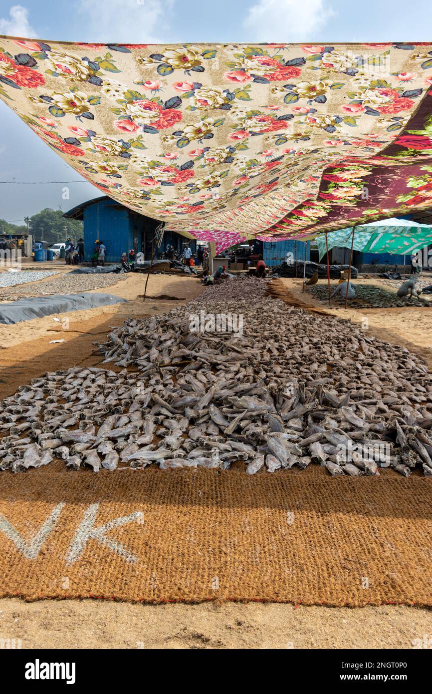 Negombo city hi-res stock photography and images - Alamy