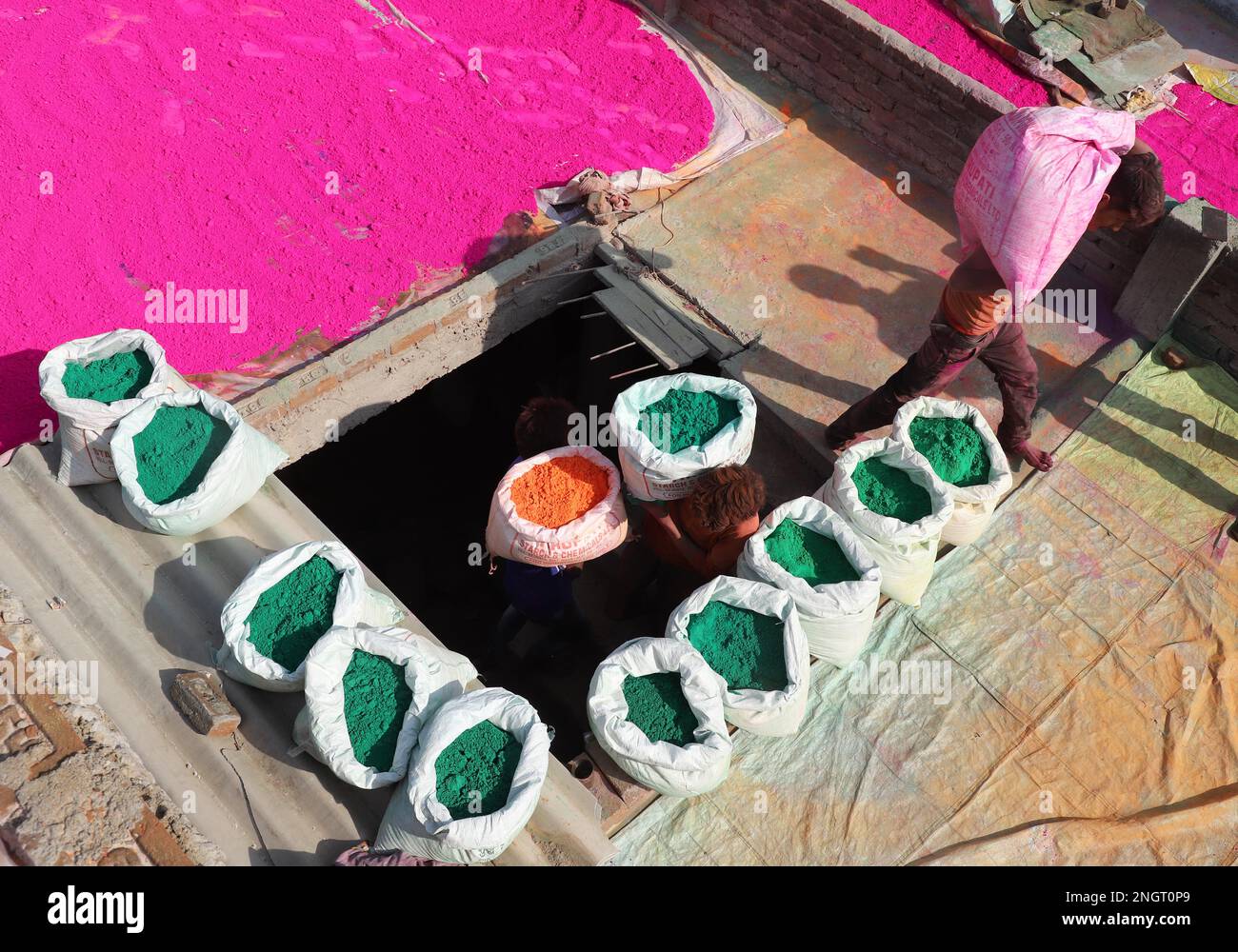 India, Madhya Pradesh, Jabalpur : Ved Pathi students smearing 'gulal ...