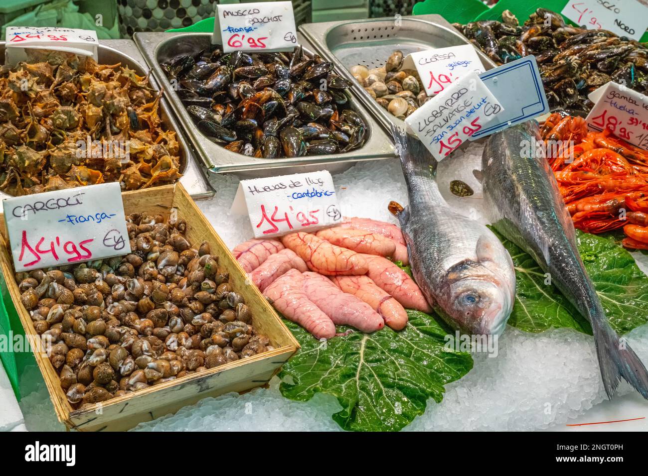 Clams,seafood and fish for sale at a market in Barcelona, Spain Stock ...