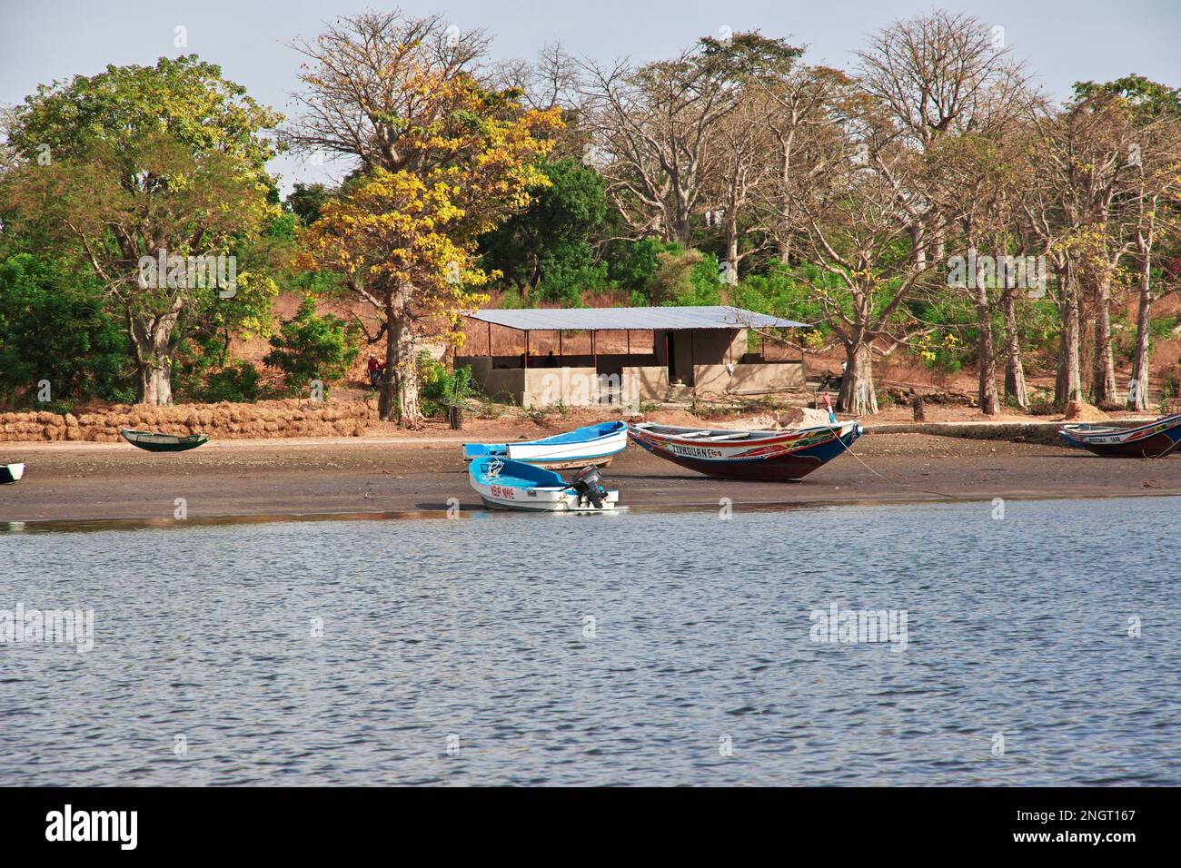 Bandiala river close Toubacouta village, Senegal, West Africa Stock ...