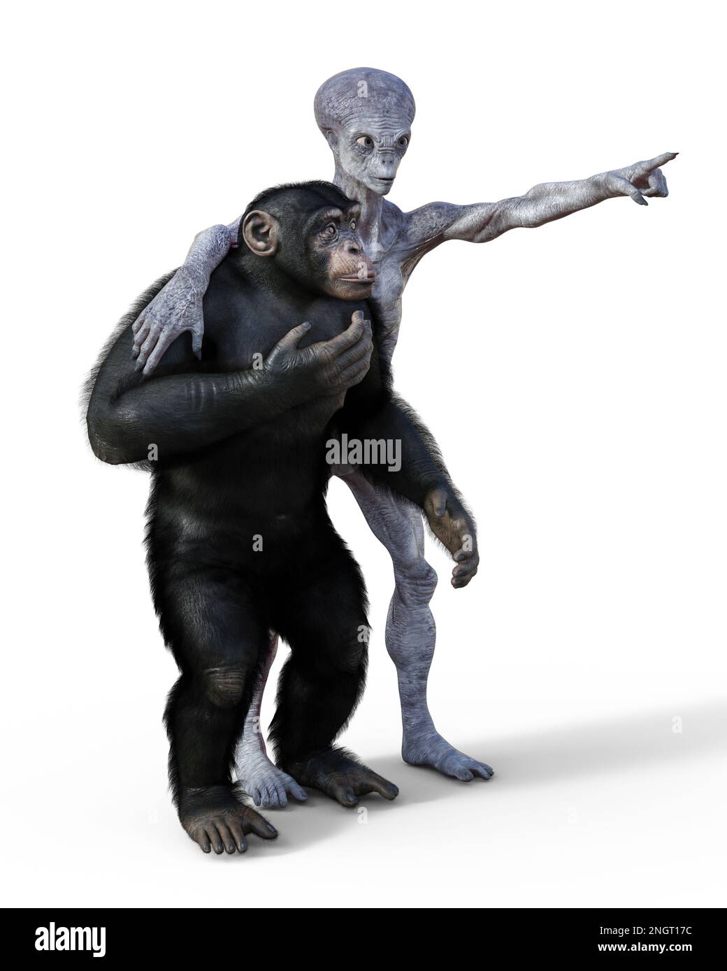 Human evolution ape man Cut Out Stock Images & Pictures - Alamy