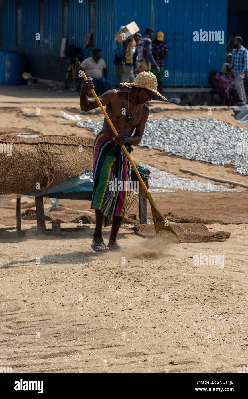 Fish market negombo sri lanka hi-res stock photography and images - Alamy