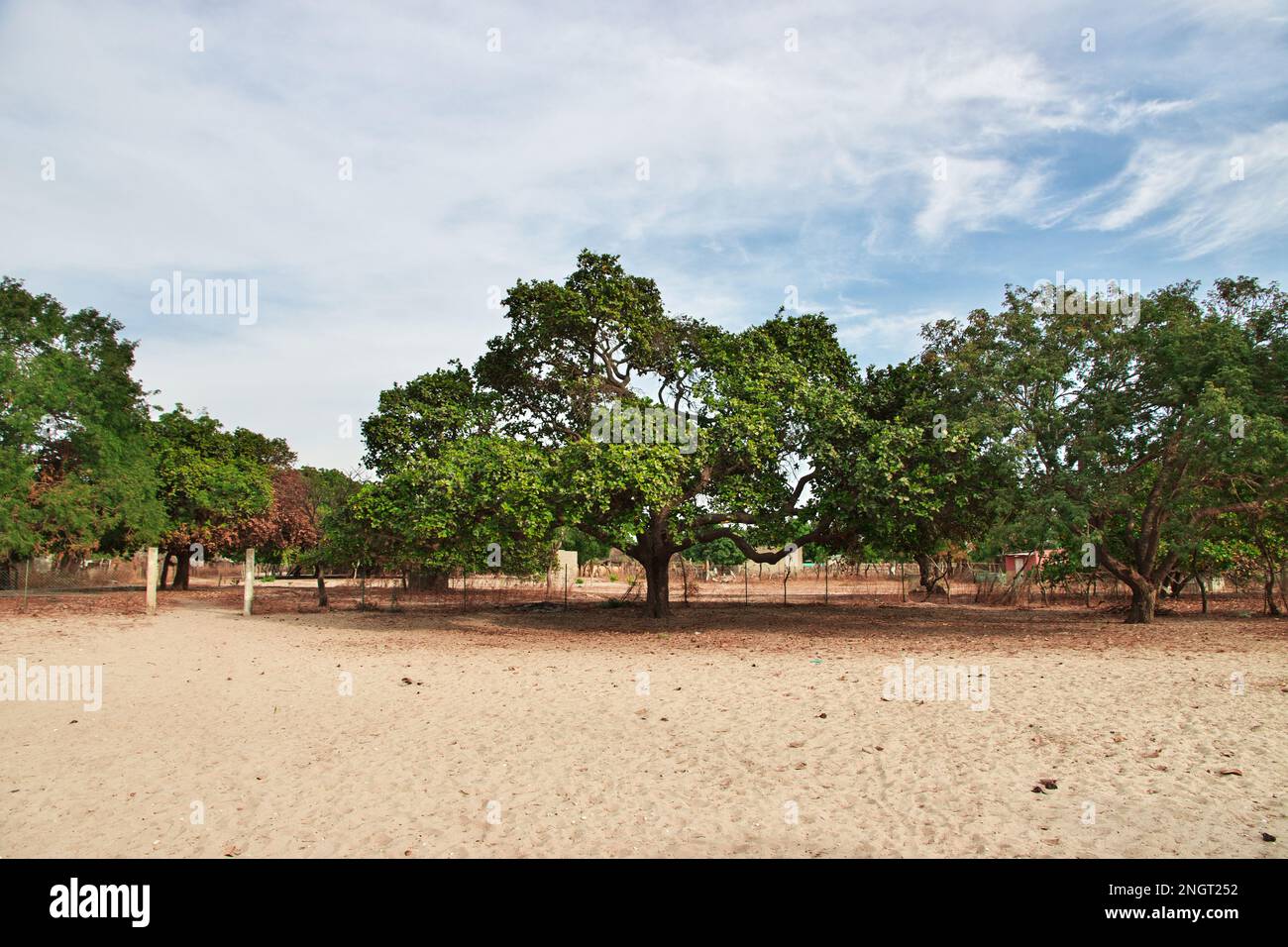 Sipo village close Toubacouta in Senegal, West Africa Stock Photo - Alamy