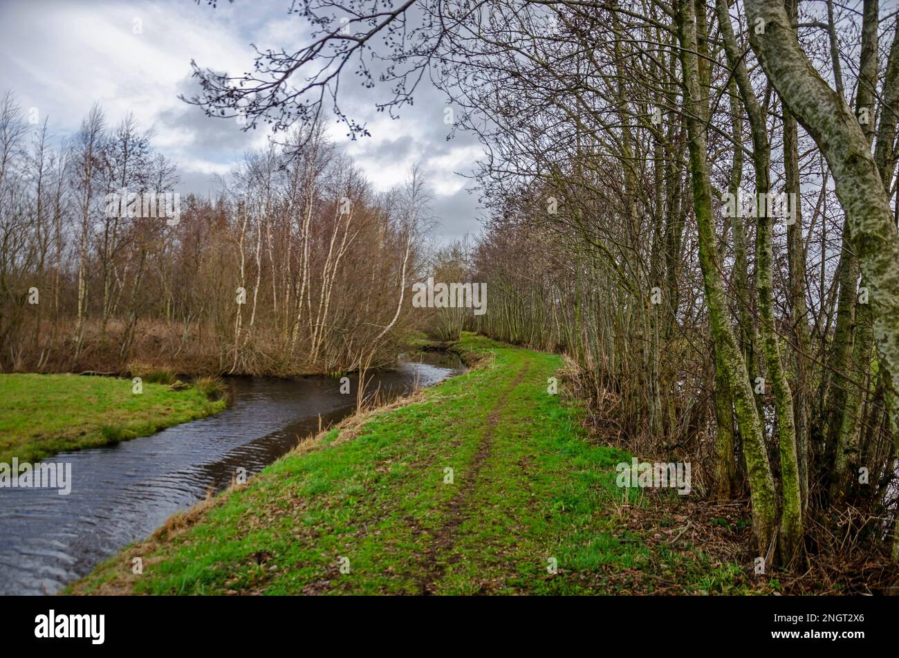 Hiking trail between trees and a ditch in the polder landscape of ...