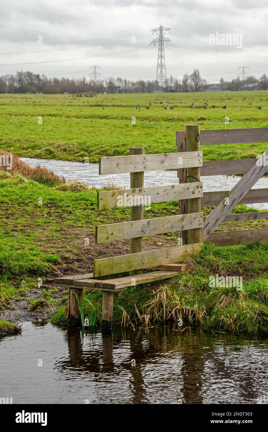 Dutch polder landscape in Krimpenerwaard region near Gouda, The ...