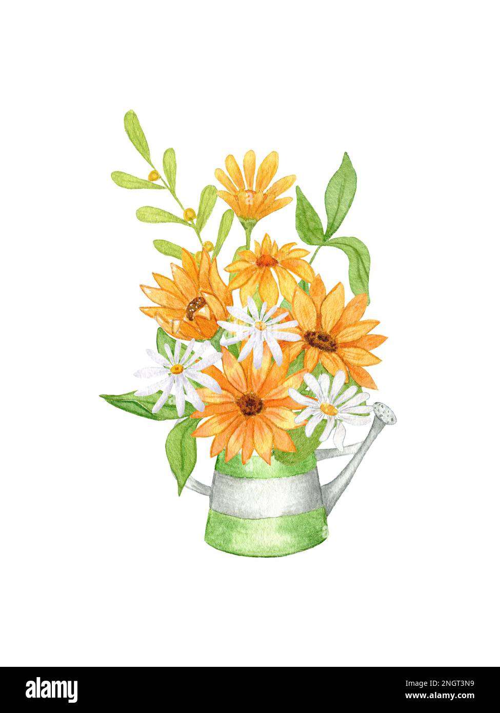Watercolor Sunflower Clipart. A bouquet of sunflowers in a metal ...