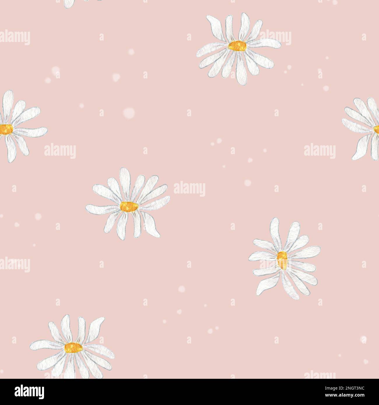 Watercolor seamless floral pattern. Illustration Flowers Daisies drawn ...