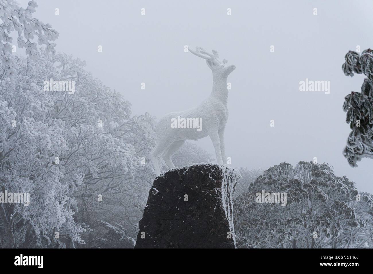 Deer statue in woodland hi-res stock photography and images - Alamy