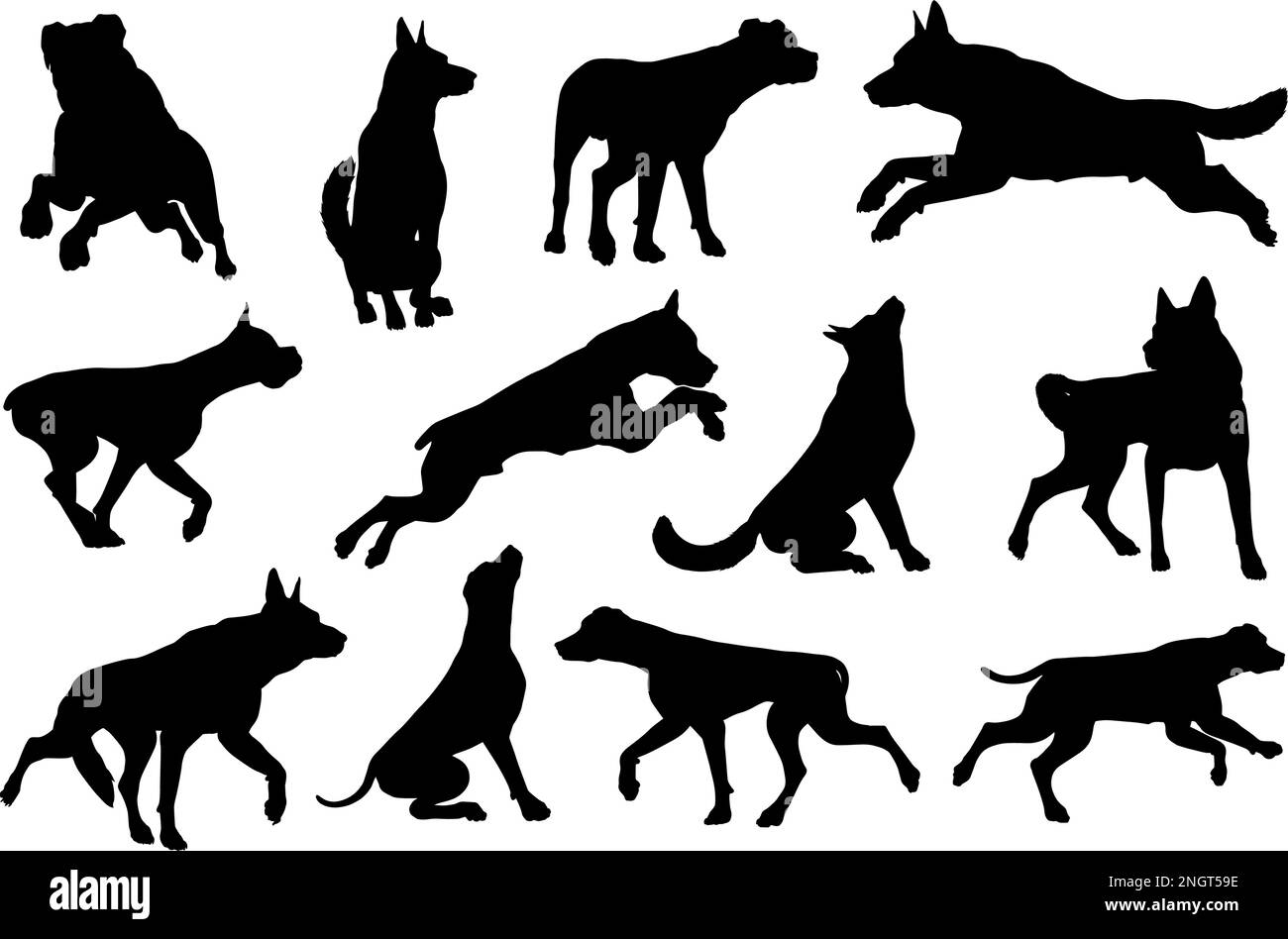 Dog Silhouettes Animal Set Stock Vector Image & Art - Alamy