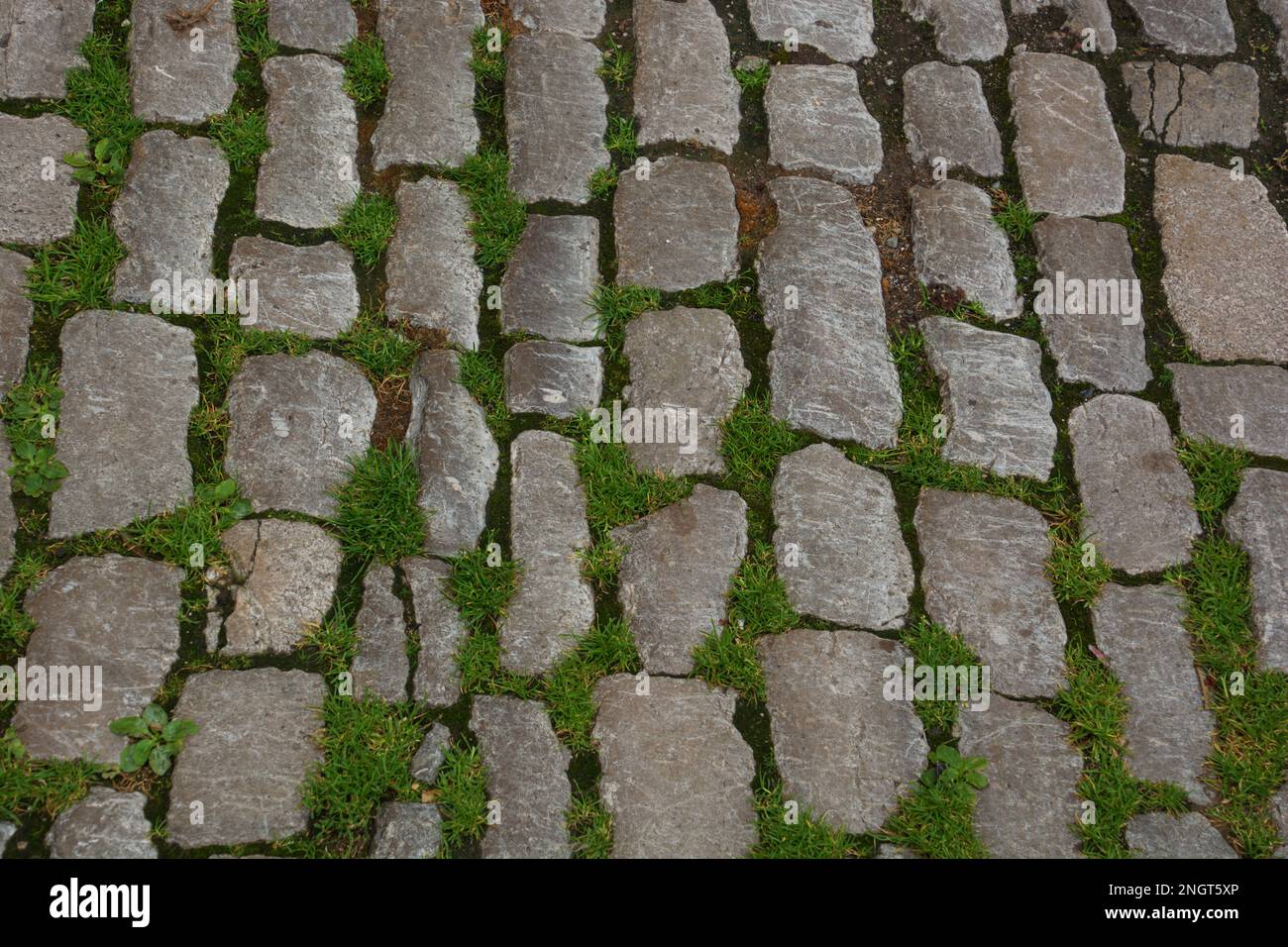 Overhead view of cobblestone footpath texture with grass Stock Photo ...