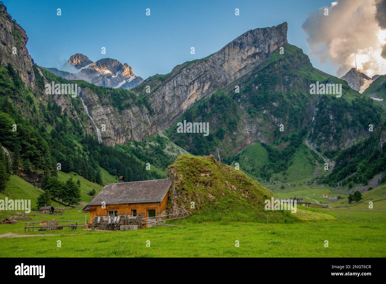 mountain, alps, meadow, tree, switzerland, swiss, typical, water ...