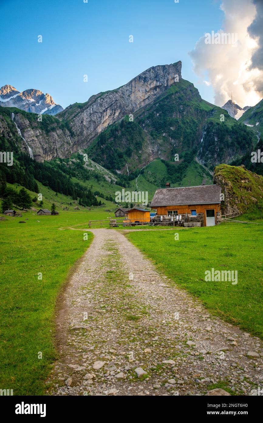 mountain, alps, meadow, tree, switzerland, swiss, typical, water ...