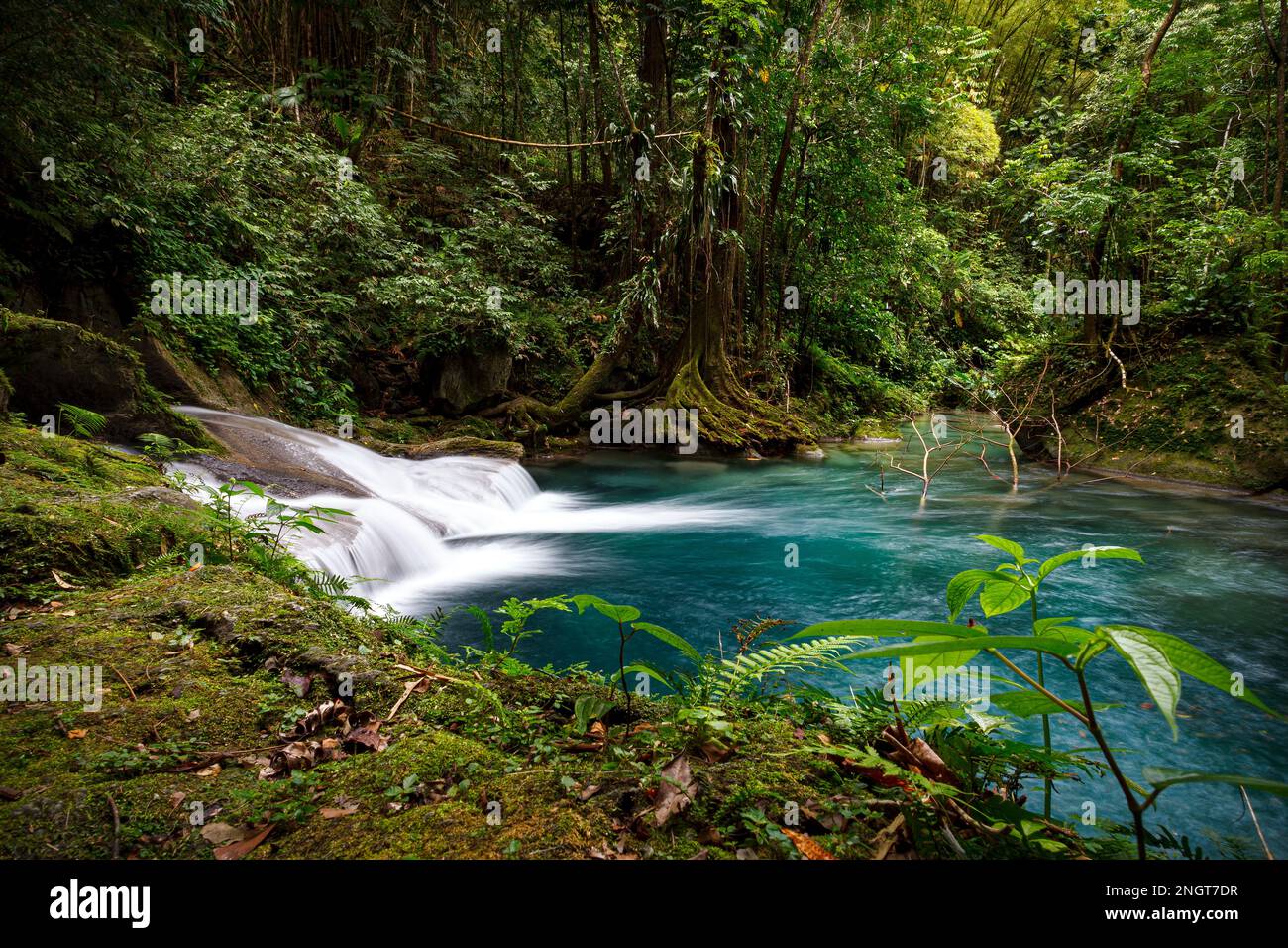 reach falls jamaica caribean island beautiful waterfalls Stock Photo ...