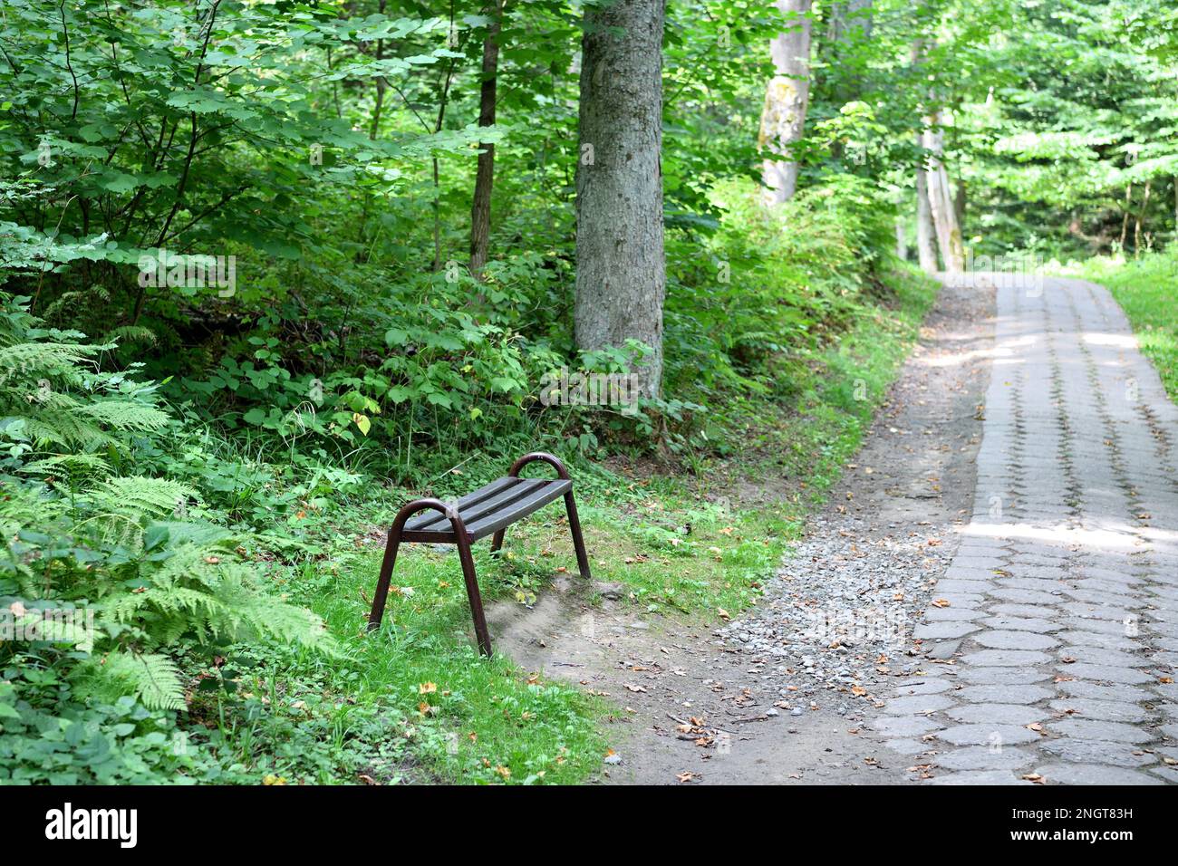 Wooden bench for tourists on the hiking trail Stock Photo - Alamy