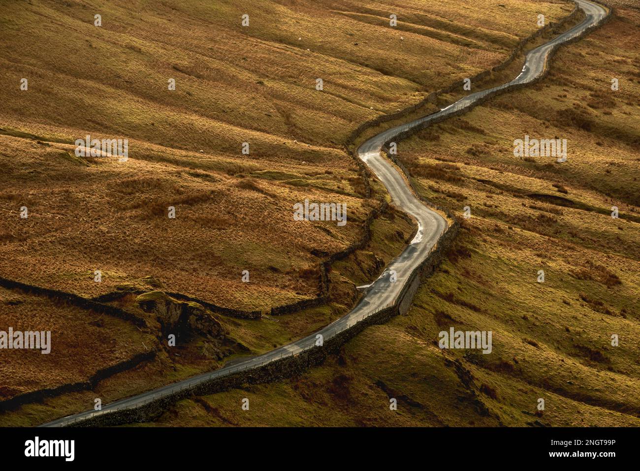 Early morning Winter landscape view of road cutting through Lake ...