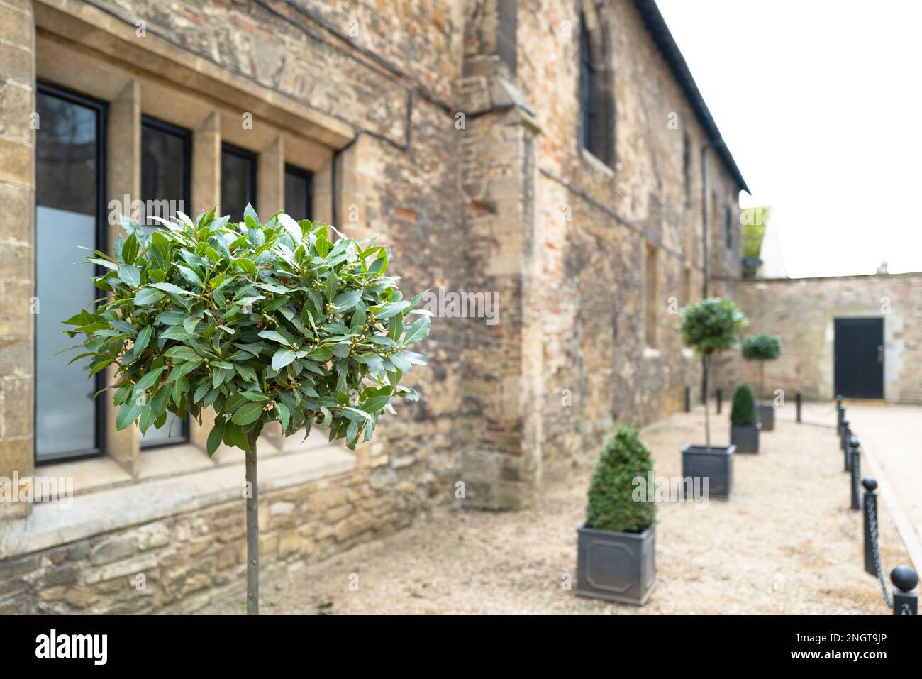 ornate bay trees seen outside a large, stonework building Stock Photo ...