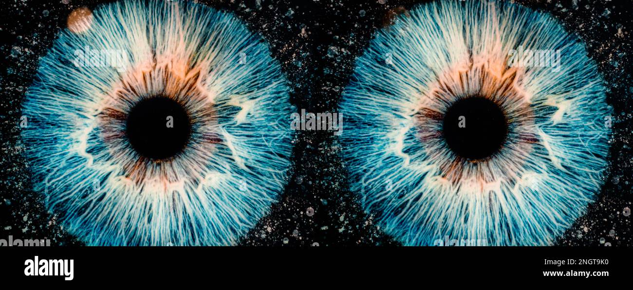 two big eyes in the starry night Stock Photo - Alamy