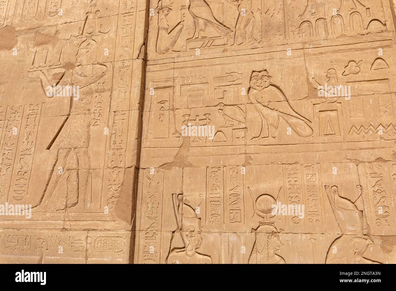 Edfu Horus Temple Walls Decorated with Reliefs of Ancient Egyptian Gods ...