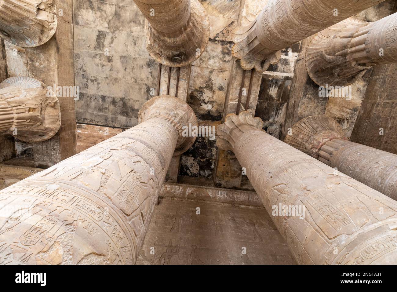 Edfu Horus Temple Walls Decorated with Reliefs of Ancient Egyptian Gods ...