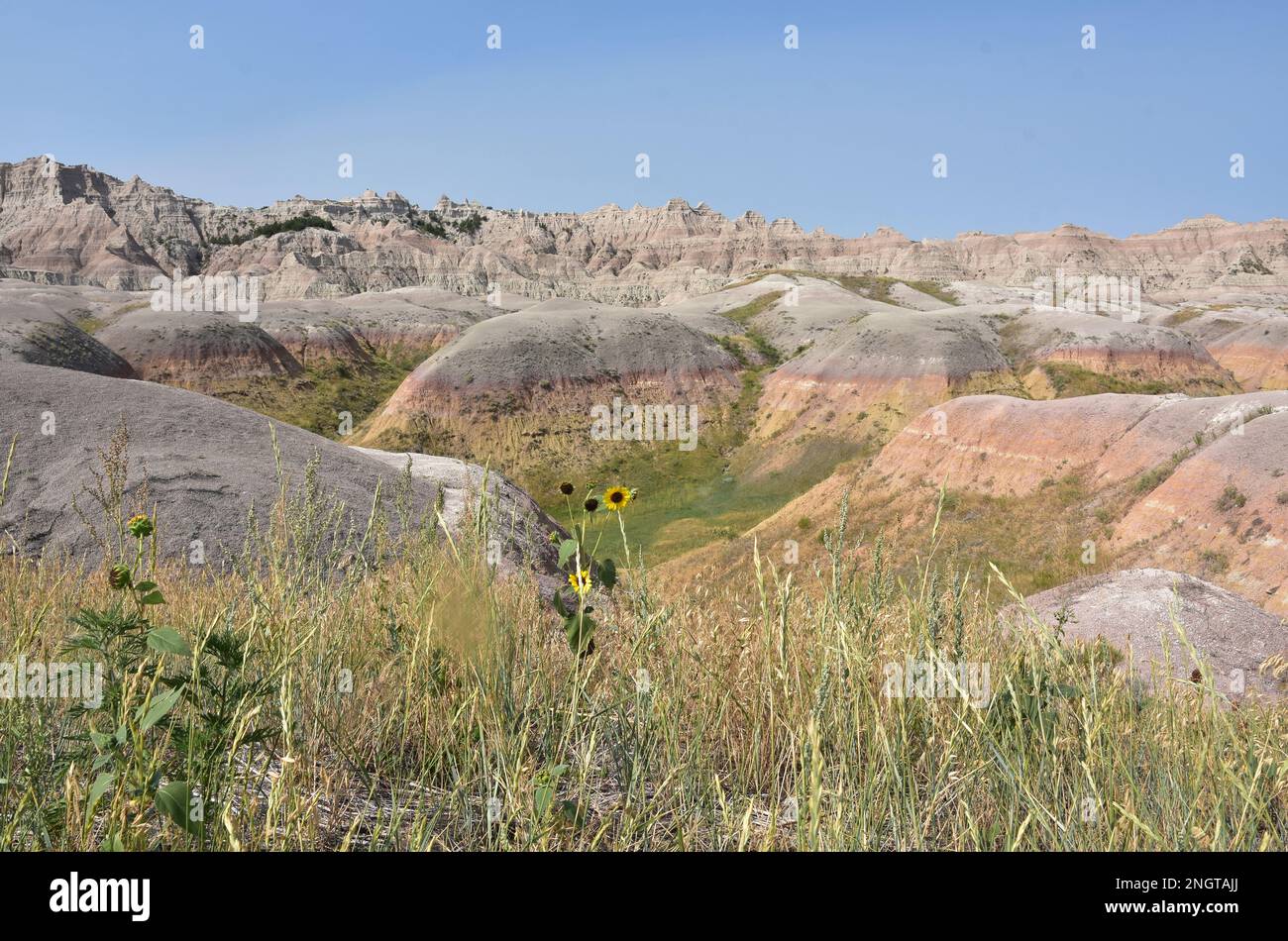 Yellow mounds in the rural rugged badlands of South Dakota Stock Photo ...
