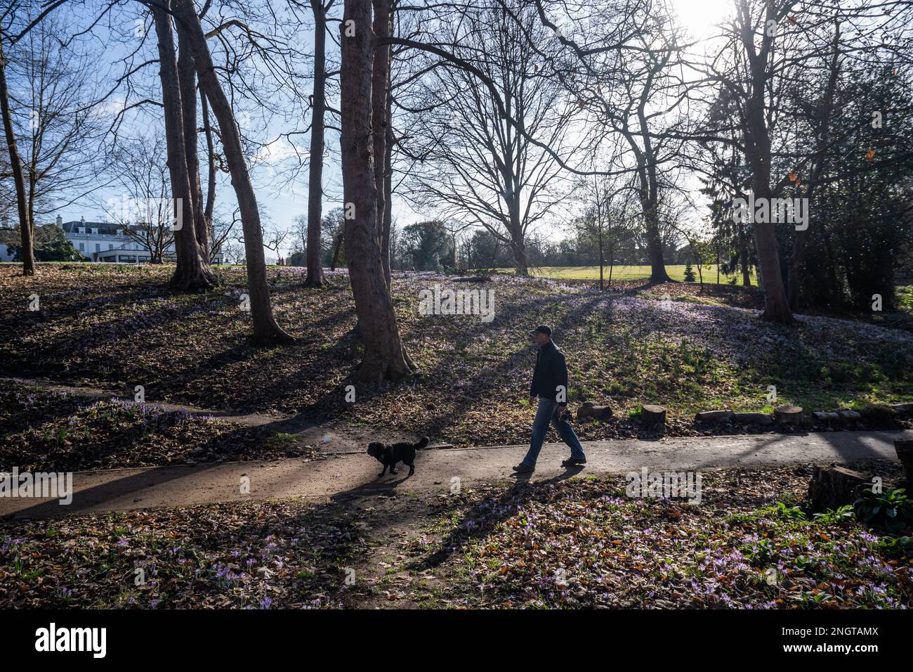 Cannizaro park in wimbledon hi-res stock photography and images - Alamy