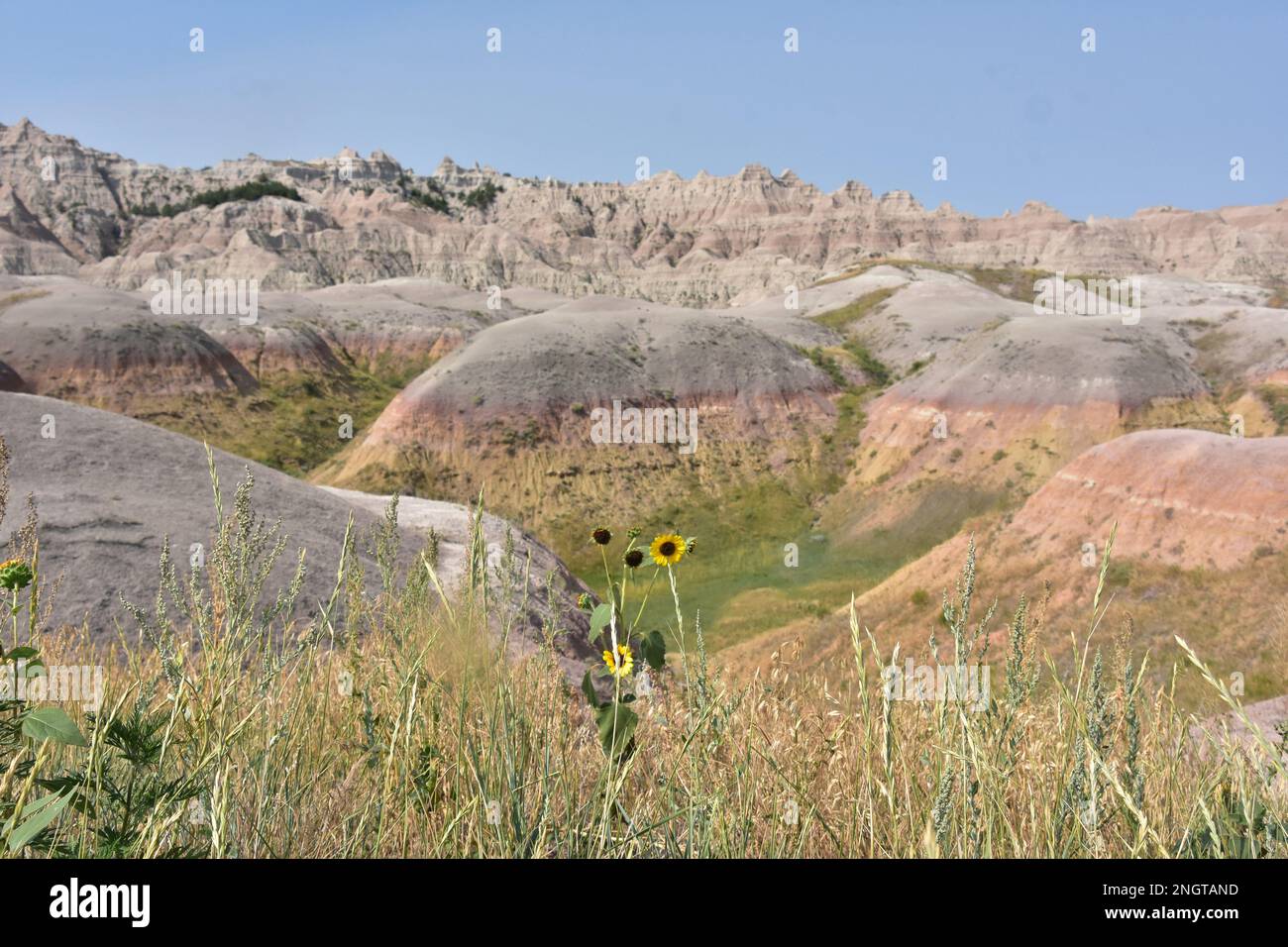 Yellow mound badlands hi-res stock photography and images - Alamy