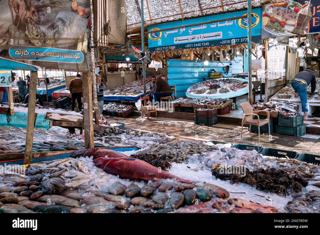 Traditional Fish Market at Hurgada, Egypt. Red Sea Stock Photo - Alamy