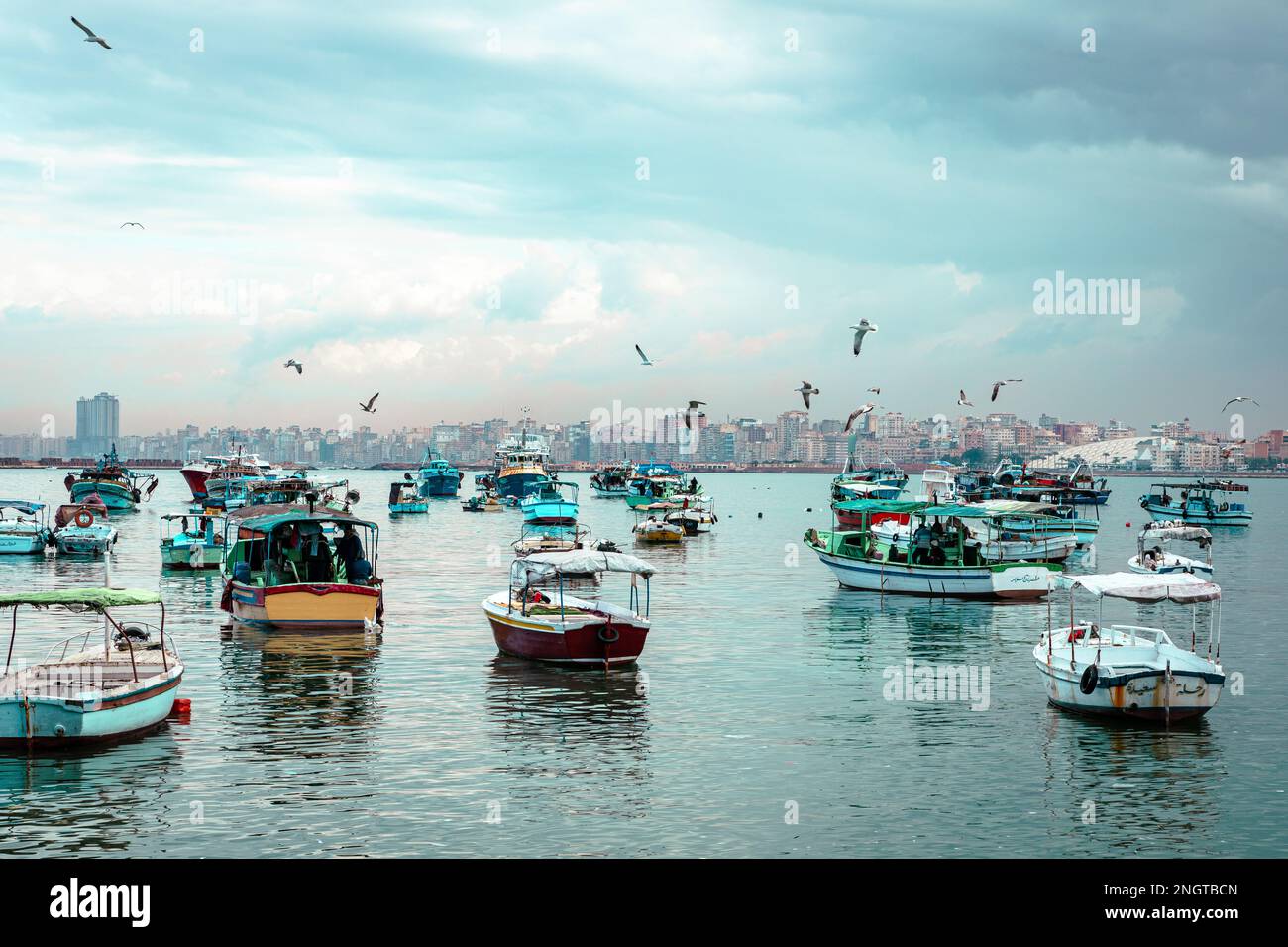 Harbor of Fishing Boats Floating on Blue Sea Water, Alexandria, Egypt ...