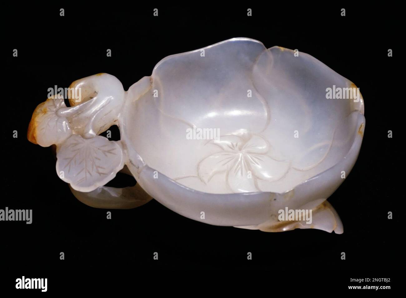 HANGZHOU, CHINA - FEBRUARY 19, 2023 - Photo taken on Feb 19, 2023 shows ...