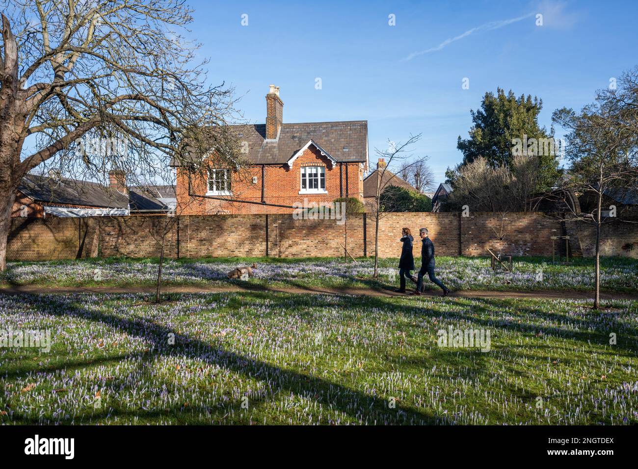 Cannizaro park wimbledon hi-res stock photography and images - Alamy