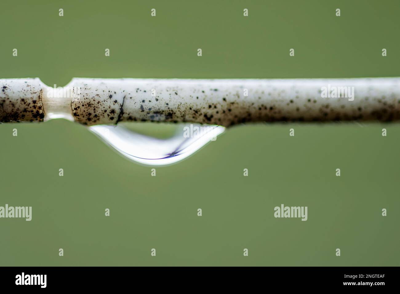 A drop of rain close up on a washing line, dirty with mold stains Stock ...