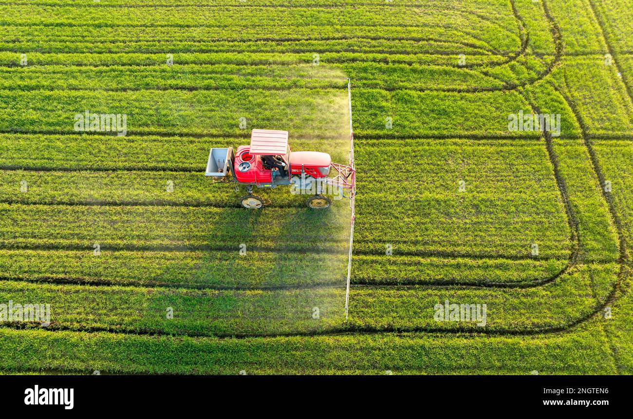 HAI'AN, CHINA - FEBRUARY 19, 2023 - Aerial photo taken on February 19 ...