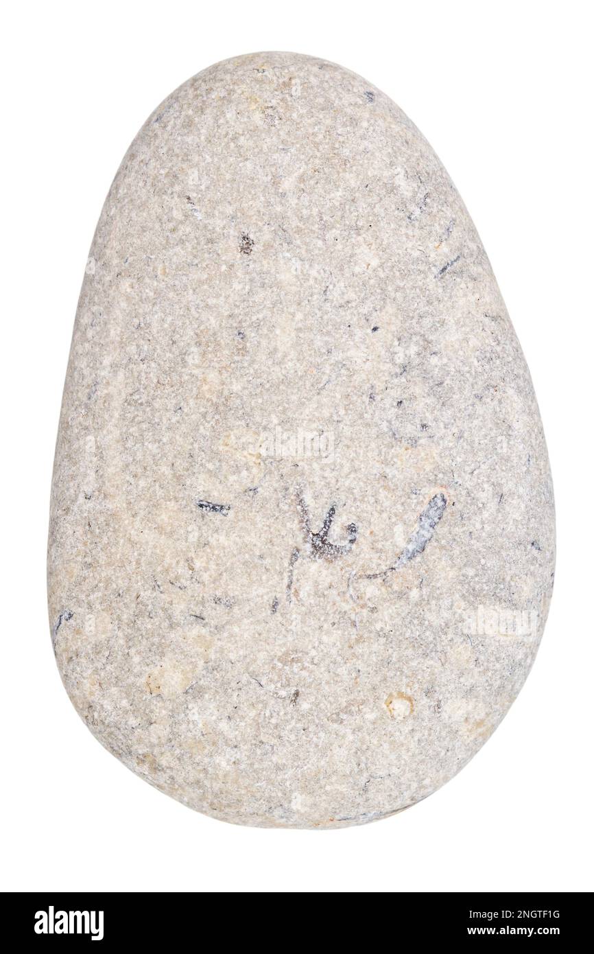 Top view of single gray pebble isolated on white background Stock Photo ...