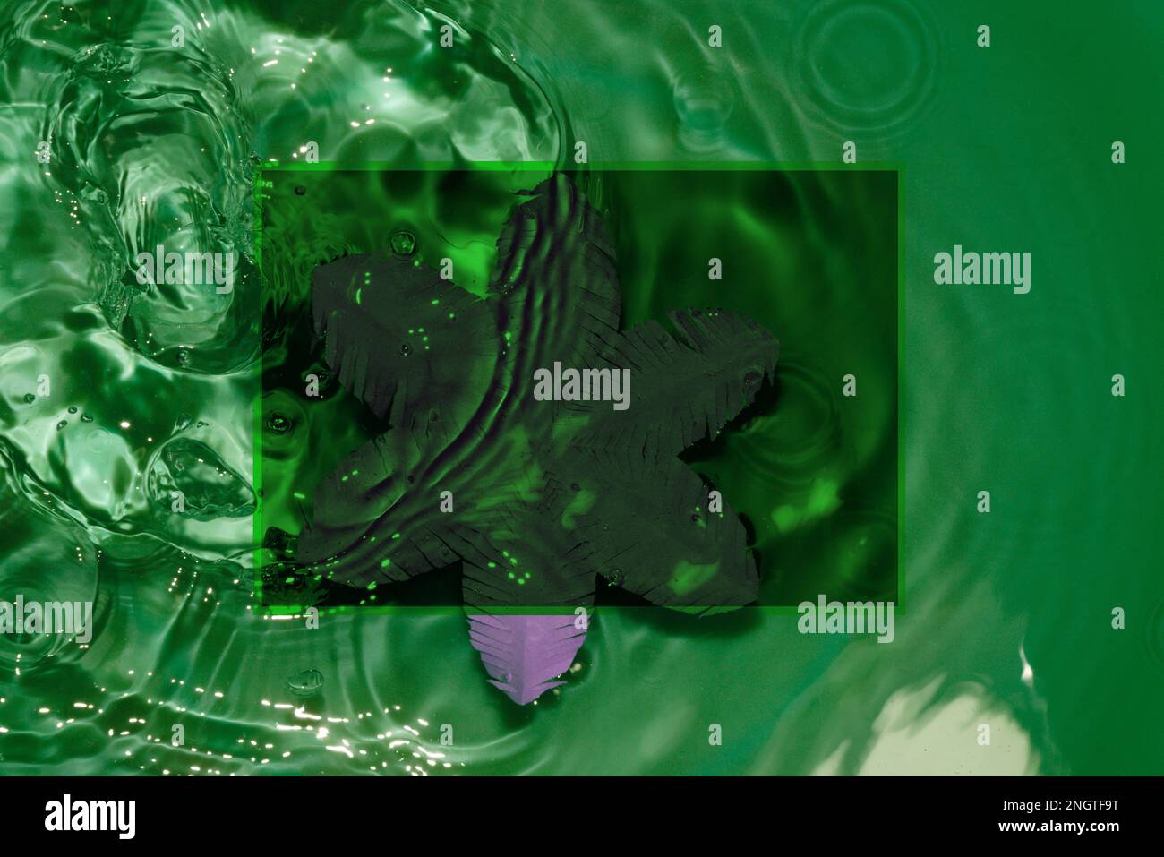 splash of green water, in the middle row of frame as copy space ...