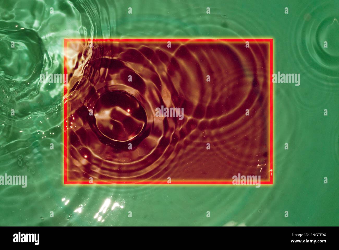 splash of green water, in the middle row of frame as copy space ...