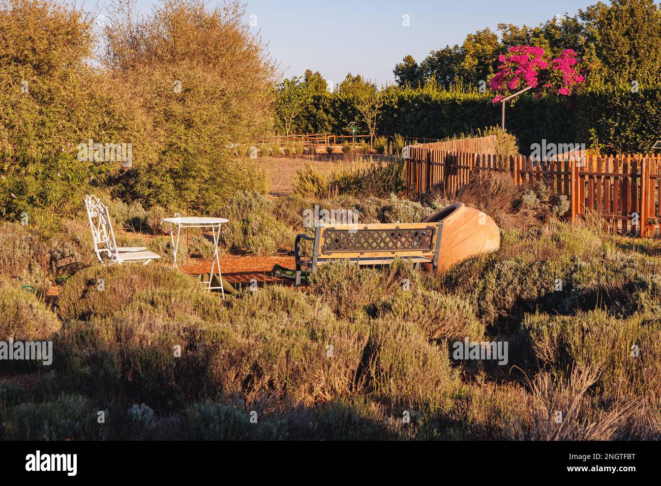 Garden in CyHerbia Botanical Park and Labyrinth in Cyprus island ...