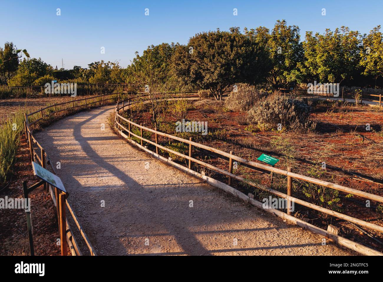 Alley in Herb garden in CyHerbia Botanical Park and Labyrinth in Cyprus ...
