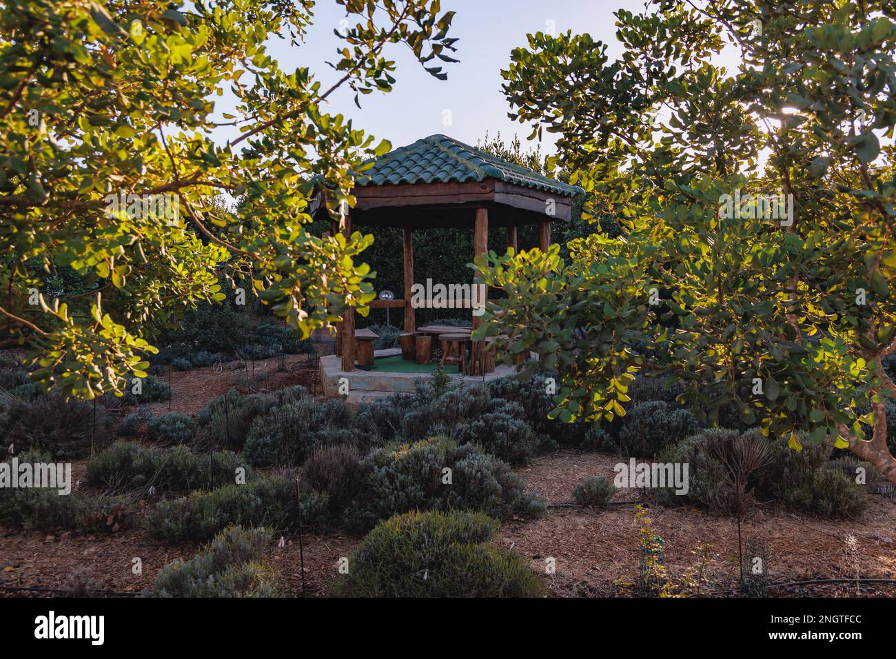 Arbour in CyHerbia Botanical Park and Labyrinth in Cyprus island ...