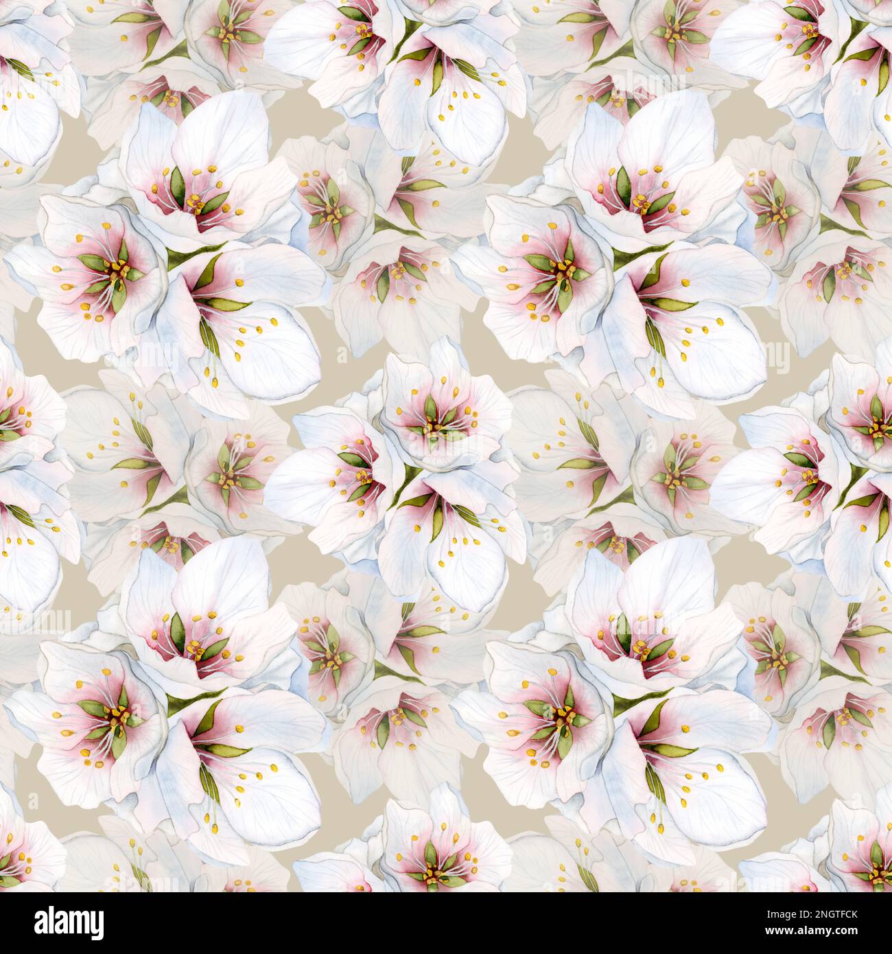 Elegant spring floral seamless pattern with white and pink flowers of ...