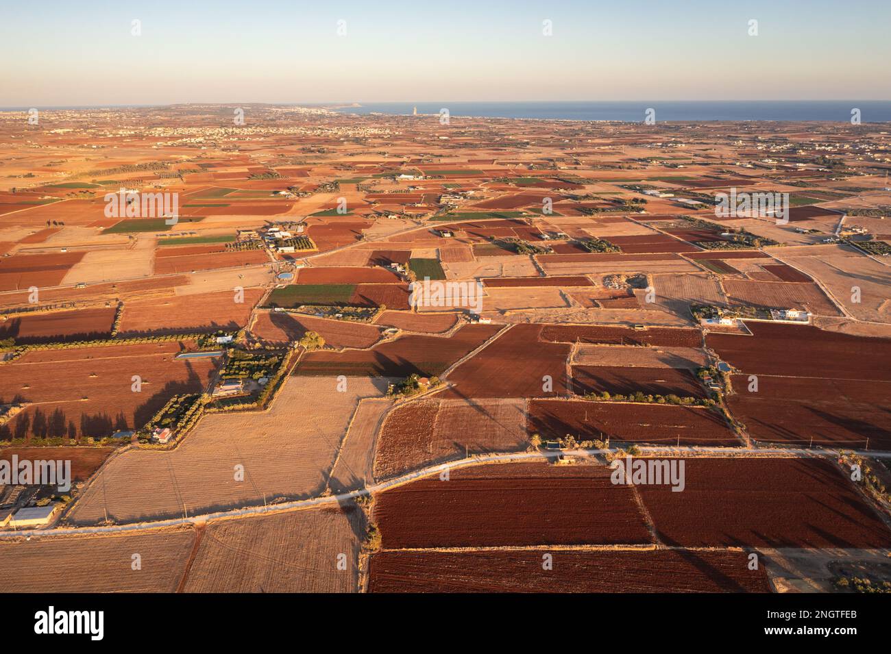 Cypriot potato crop hi-res stock photography and images - Alamy