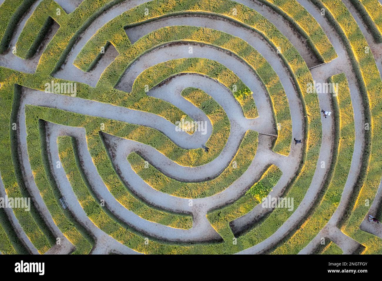 Maze in CyHerbia Botanical Park and Labyrinth in Cyprus island country ...