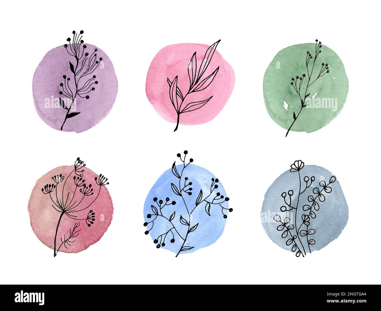 Watercolor hand-painted, delicate flowers in graphics. Set of icons for ...