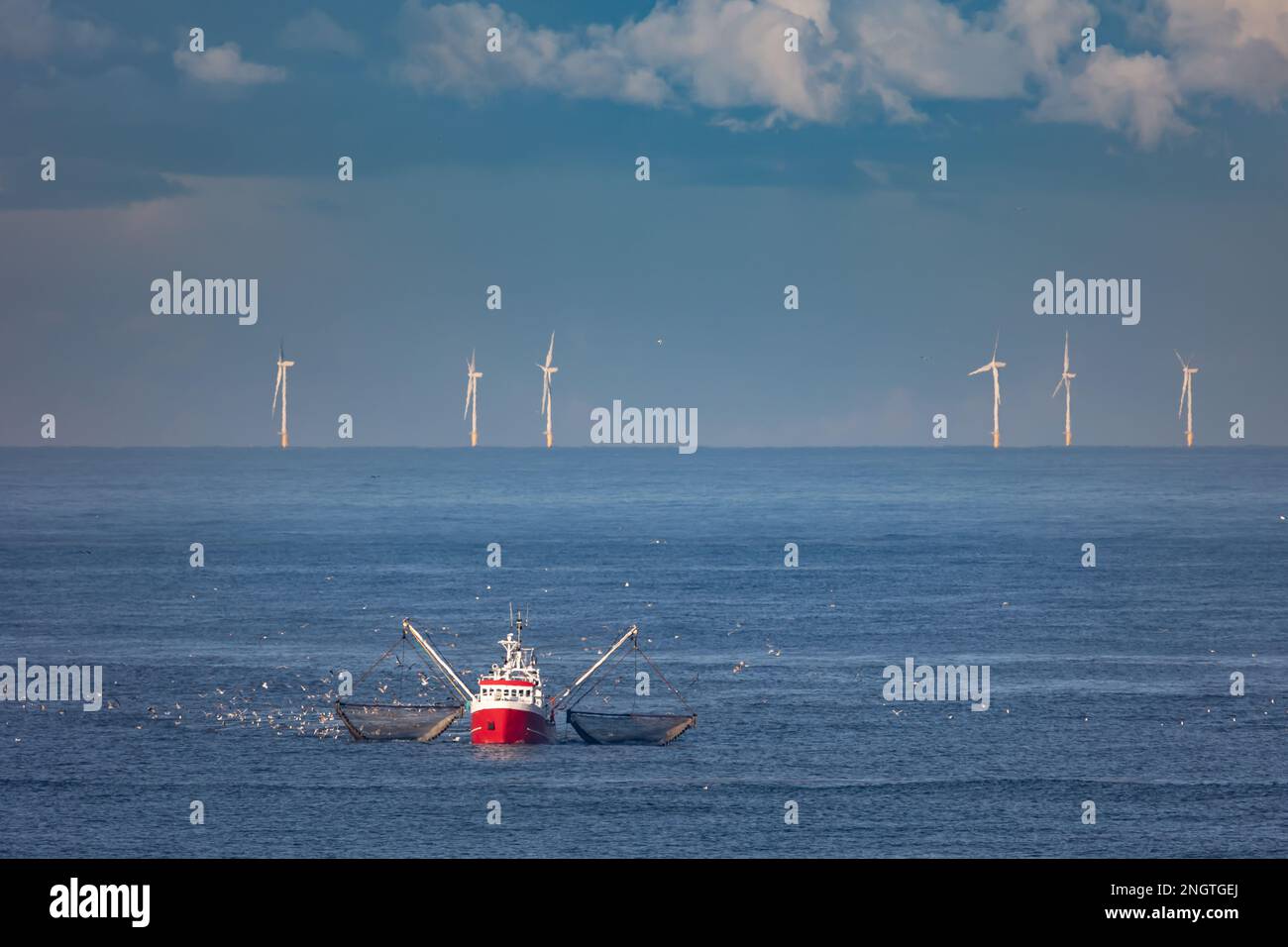 A cutter with lifted drag nets on the North sea with wind turbines in ...