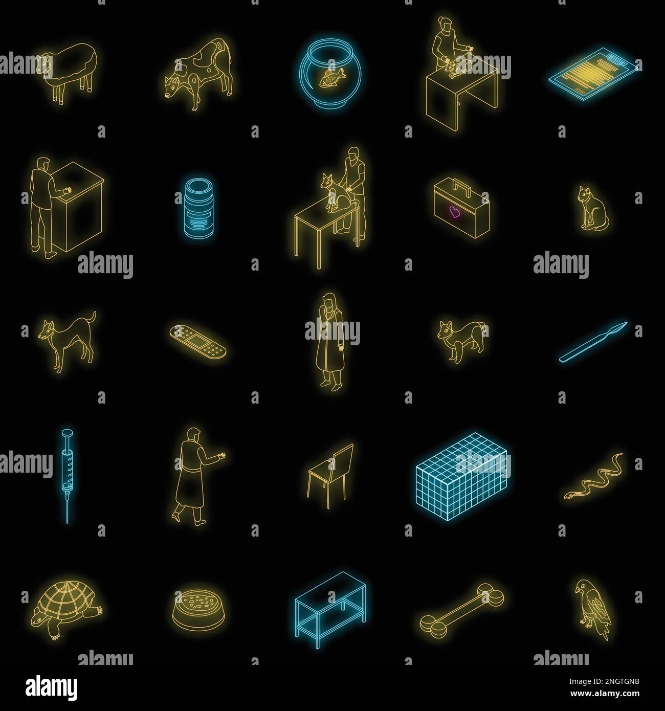 Veterinarian icons set. Isometric set of veterinarian vector icons neon ...