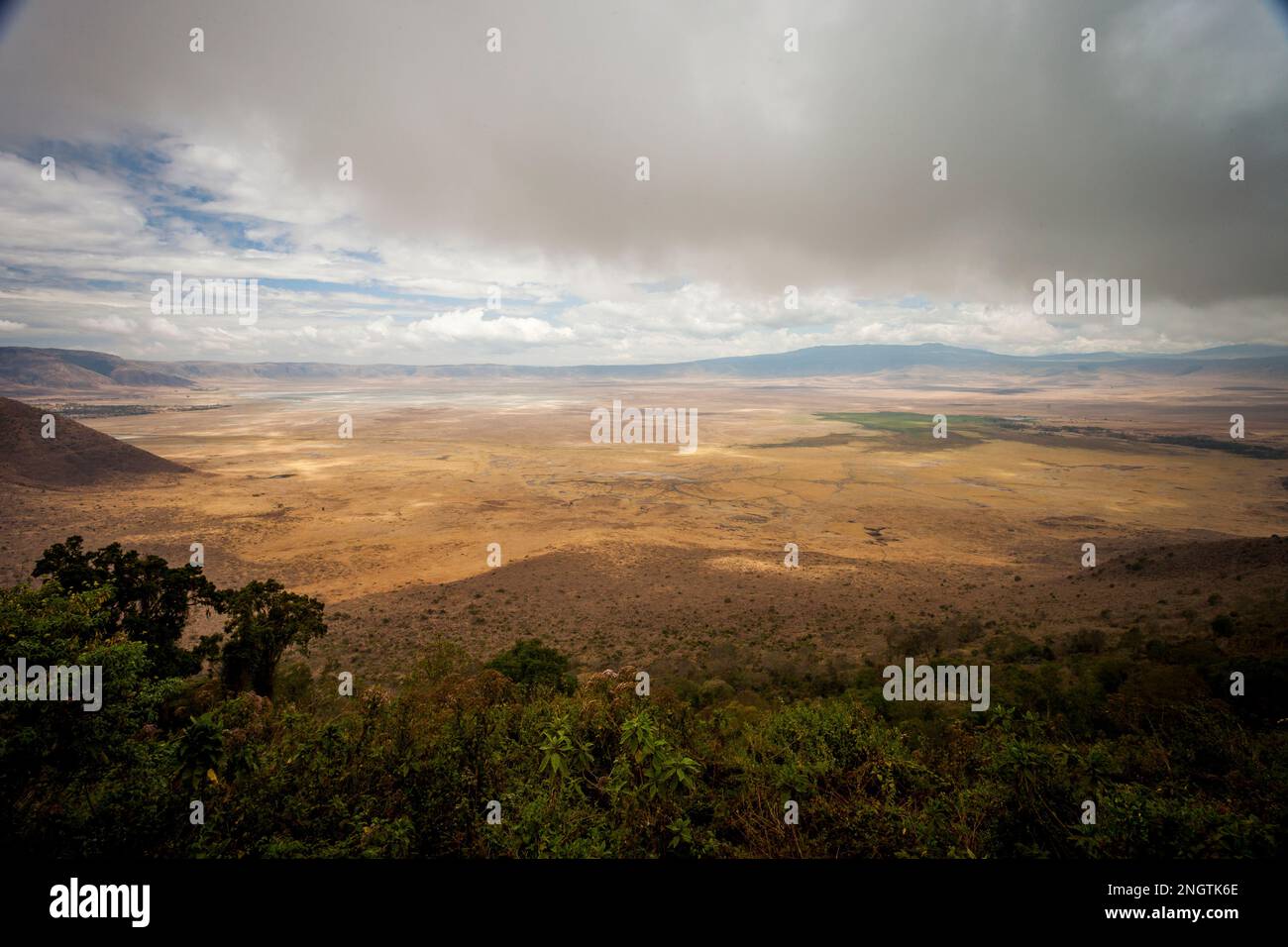 ngorongoro crater wildlife, africa, tansania Stock Photo - Alamy